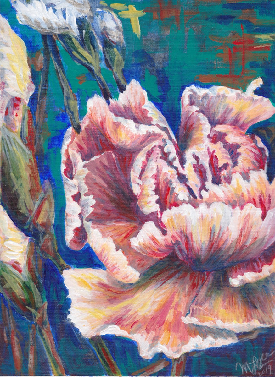 Carnation Opening – Luce Ends